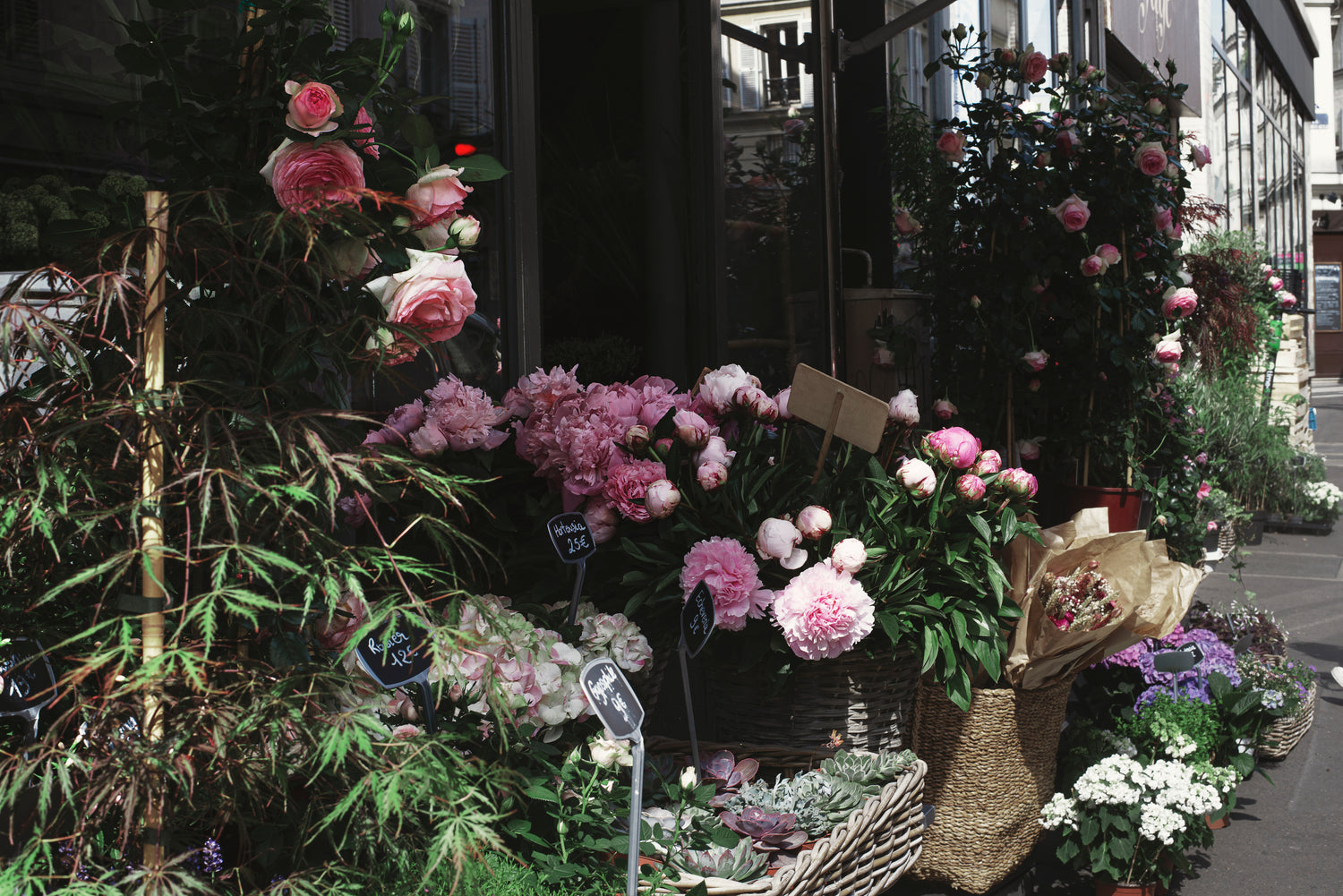 Collections – Floral Lane Flower Boutique
